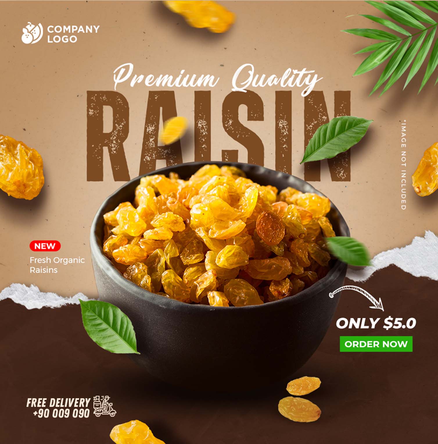Raisins healthy and fresh vegetable shopping e-commerce banner poster ...